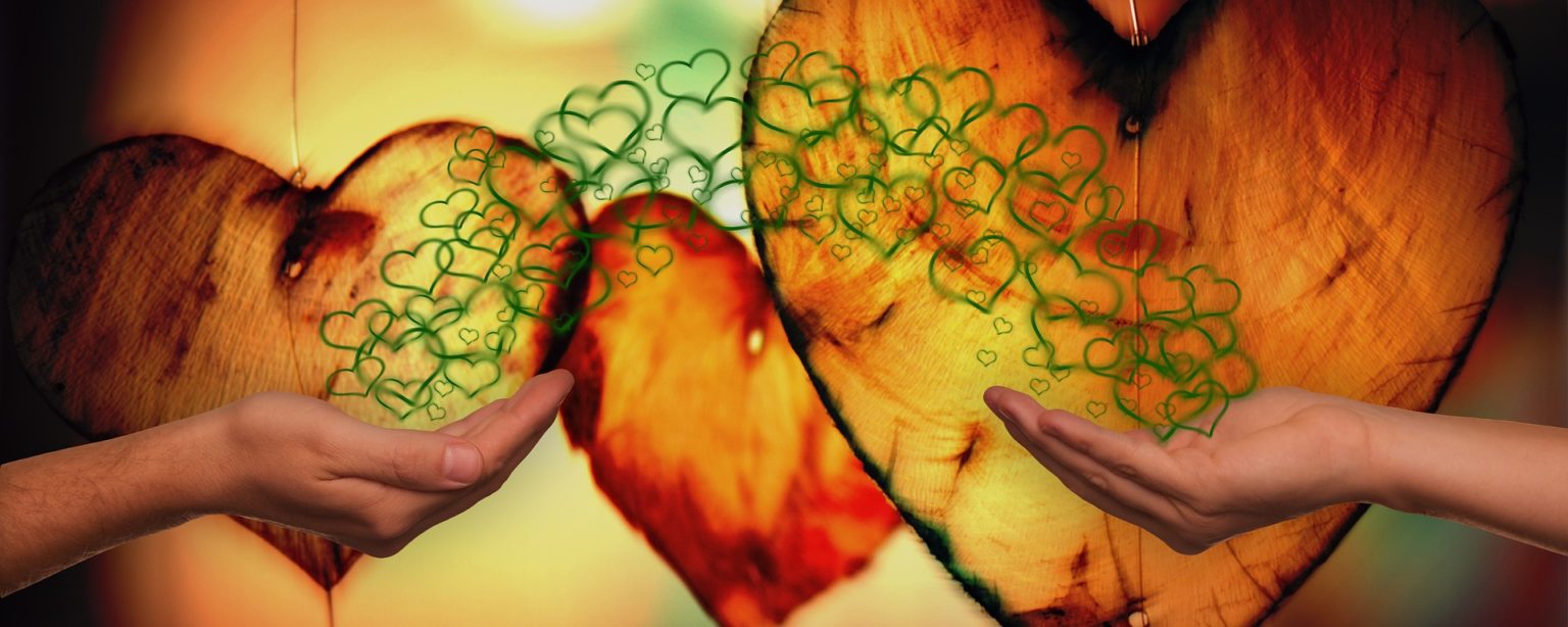 「奪い合えば足りず、与えあえば余る」 | 株式会社PRIME CHANGE -プライムチェンジ-